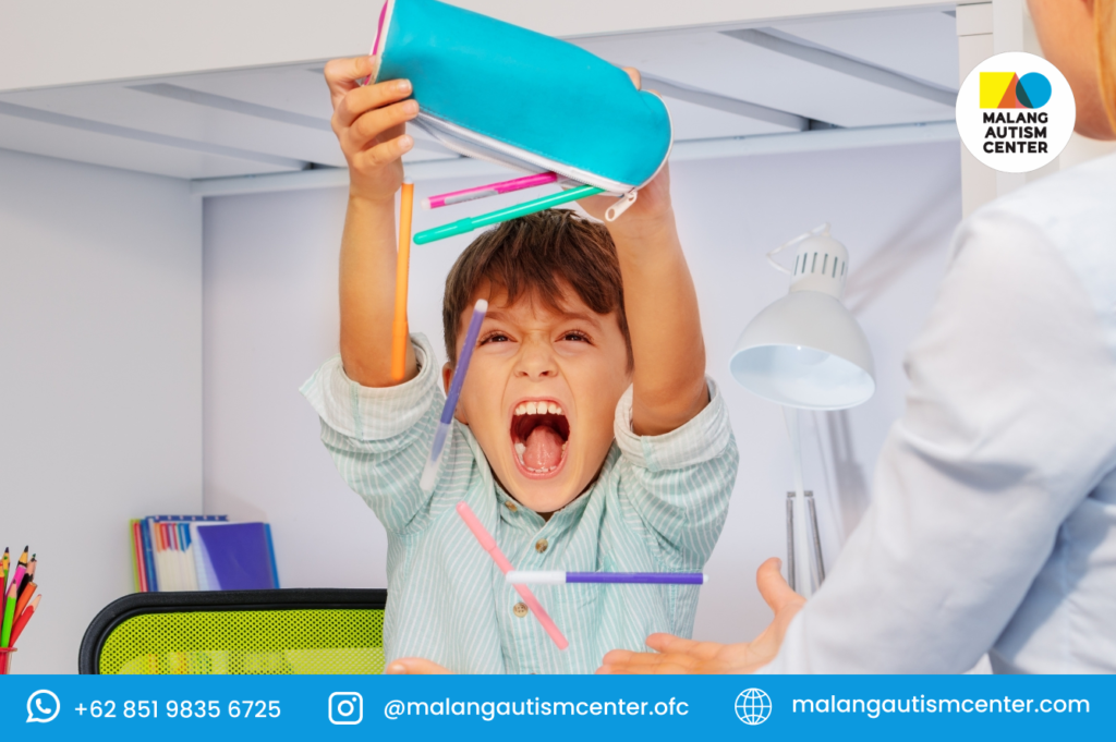 Tantangan Anak ASD di Sekolah, Kesulitan dan Dukungan! - Malang Autism ...